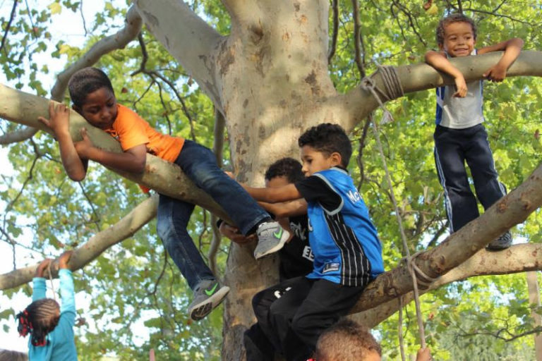 Hands-On-Nature Anarchy Zone – Ithaca Children's Garden