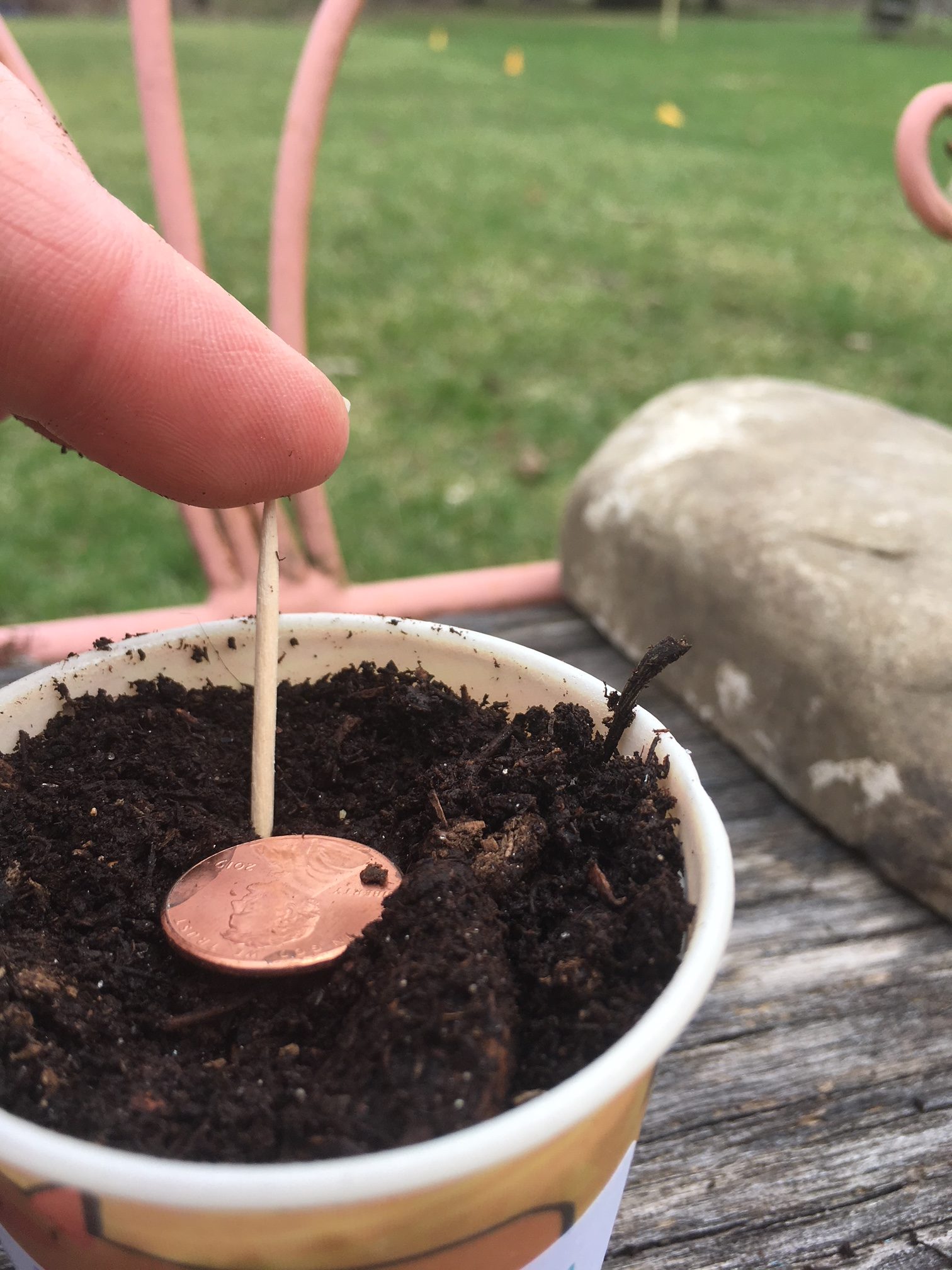 Power Seeds – Ithaca Children's Garden