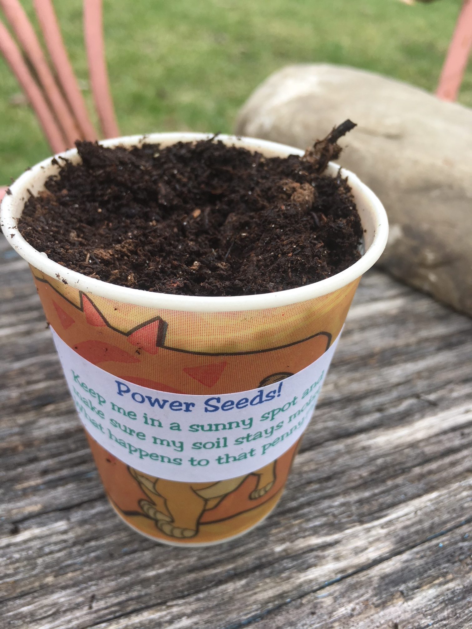 Power Seeds – Ithaca Children's Garden
