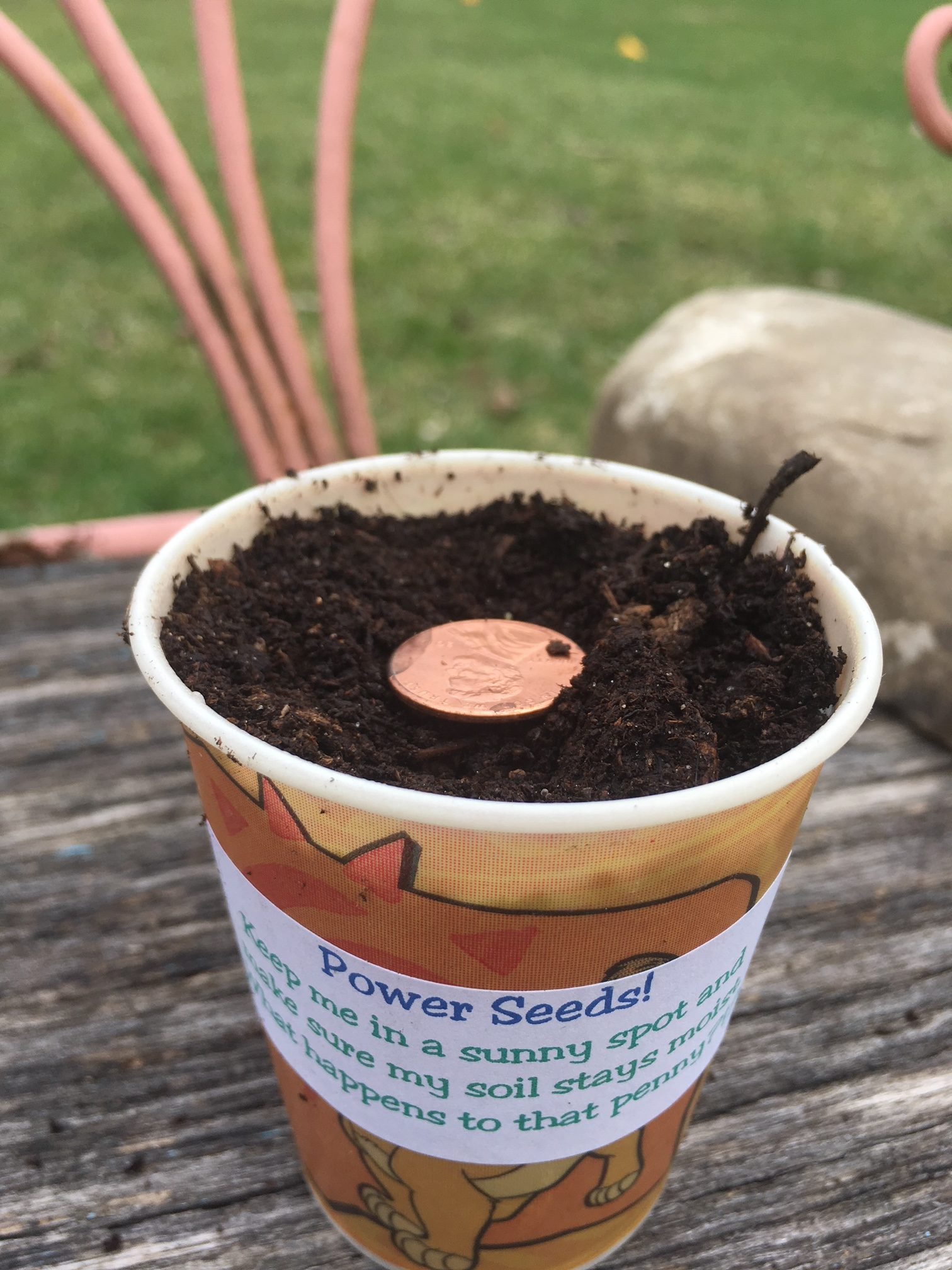 Power Seeds – Ithaca Children's Garden