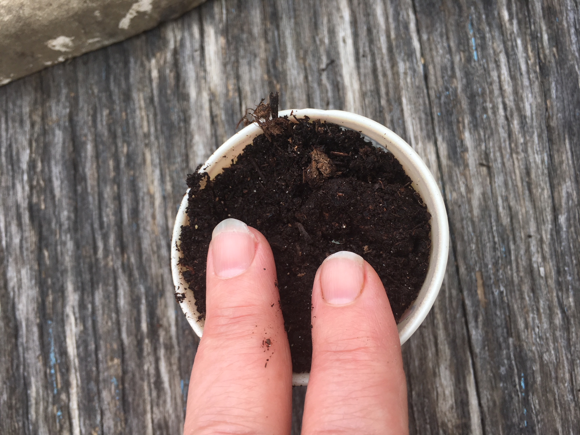 Power Seeds – Ithaca Children's Garden