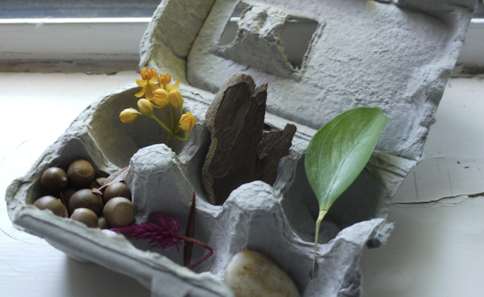 More activities with natural materials! – Ithaca Children's Garden