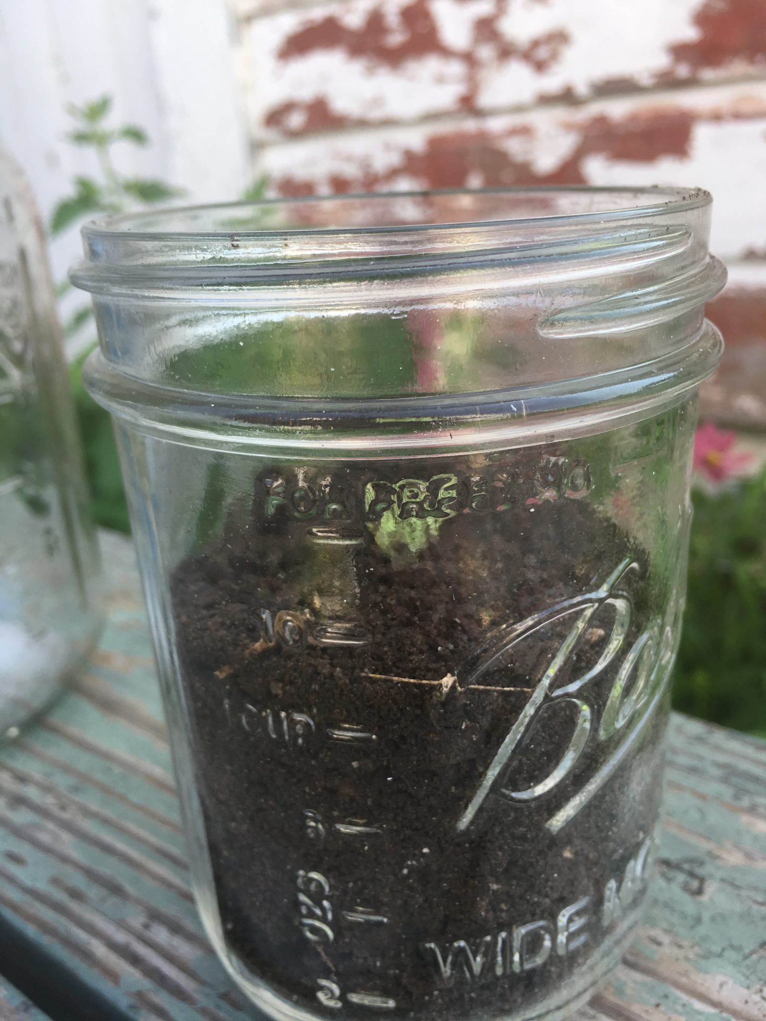 Soil Jar Science – Ithaca Children's Garden