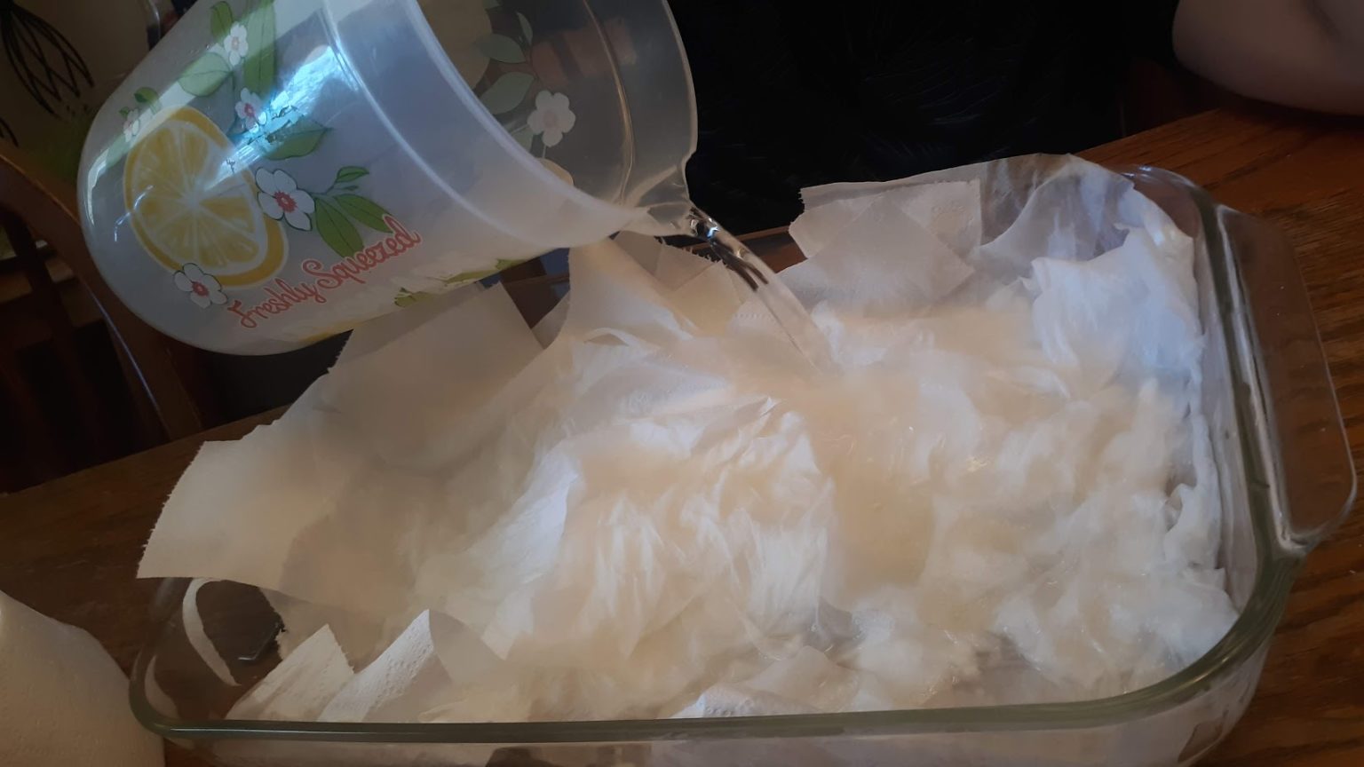 Clean Mud – Ithaca Children's Garden