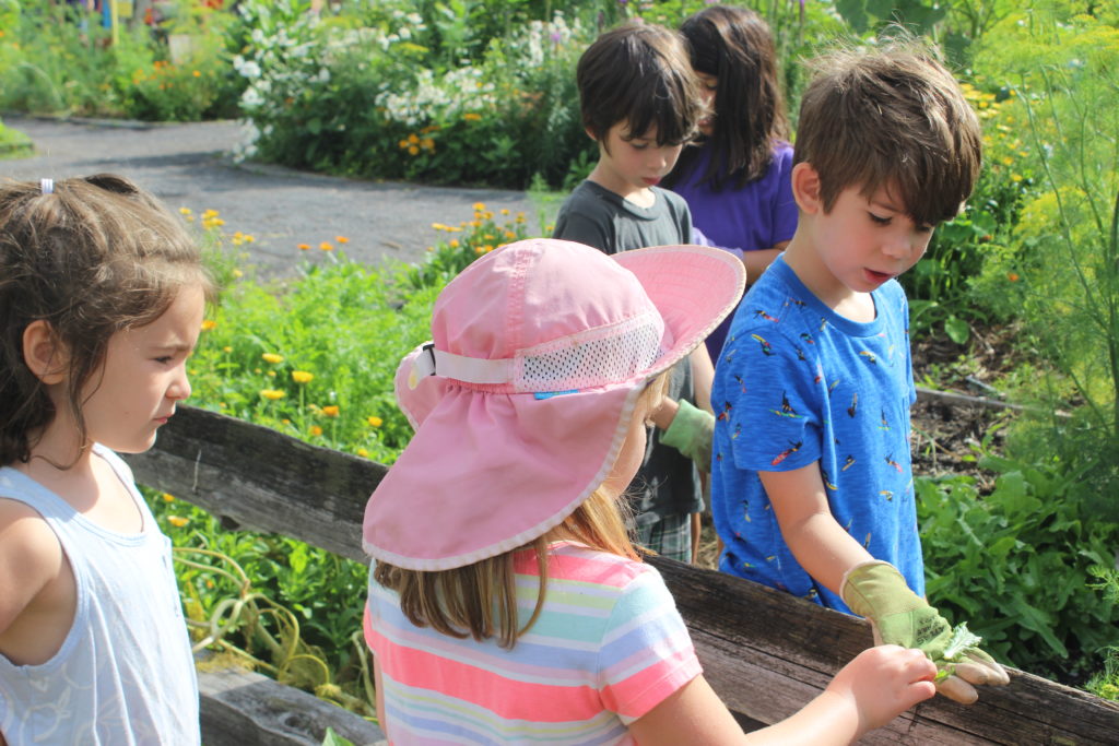 National Pollinator Week Crafts for Kids – Ithaca Children's Garden