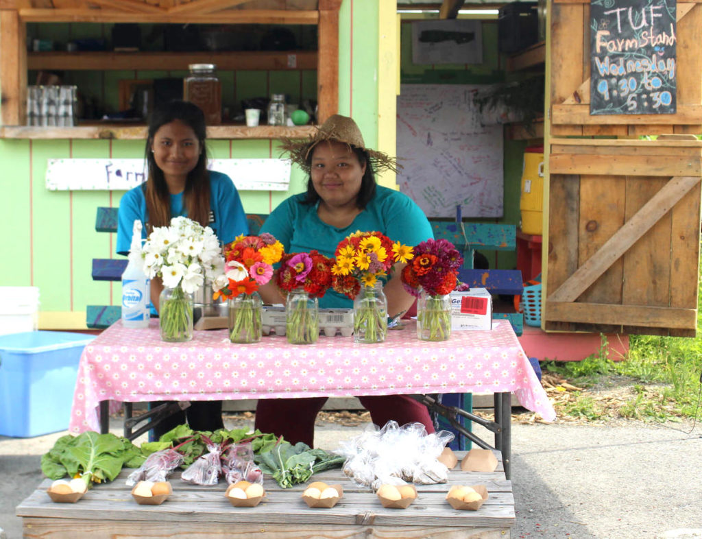 National Pollinator Week Crafts for Kids – Ithaca Children's Garden
