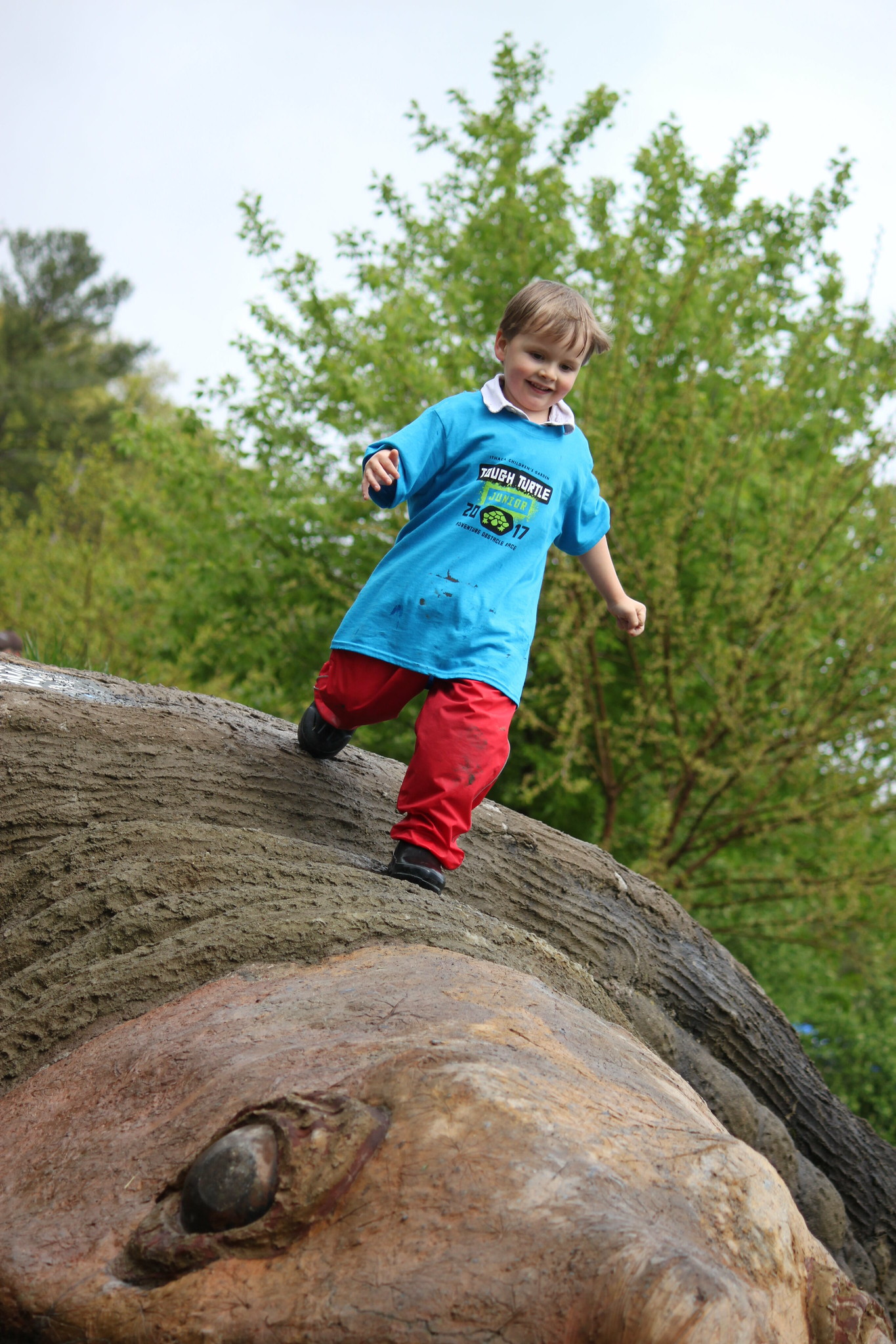 Tough Turtle Junior – Ithaca Children's Garden